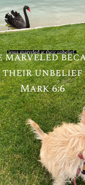 Marveled – Eyes on Jesus and Shine